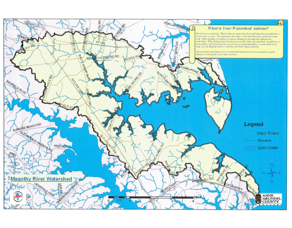 Our River - Magothy River Association